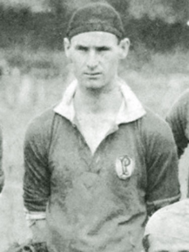 Berti - Palmeiras - Almanaque do Verdazzo