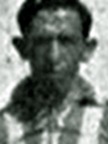 Pilla Estatísticas e biografia - Verdazzo