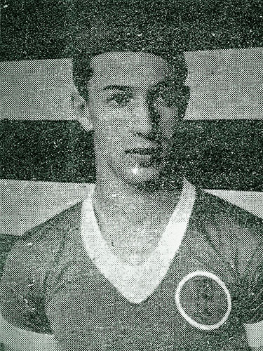 Zalli - Palmeiras - Almanaque do Verdazzo