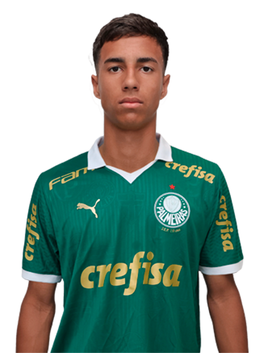 Vitor Reis - Palmeiras - Almanaque do Verdazzo